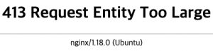 NginX – 413 Request Entity Too Large 해결 – IT를 요리하자